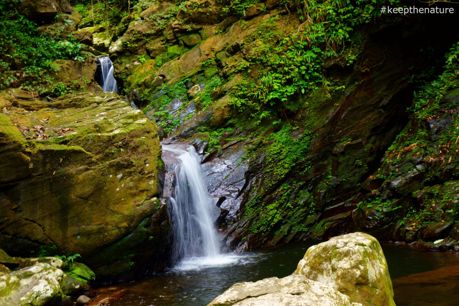 Photo: Bach Ma National Park - Keep The Nature